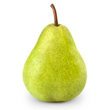 Ohio Foodservice Distributor | Fruits