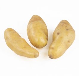 Russian Fingerling Potatoes